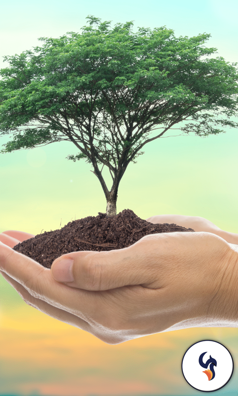 Low-Cost Trauma Therapy and EMDR - The Phoenix Center