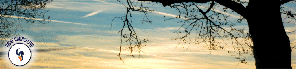 Grief Counseling and Support at The Phoenix Center